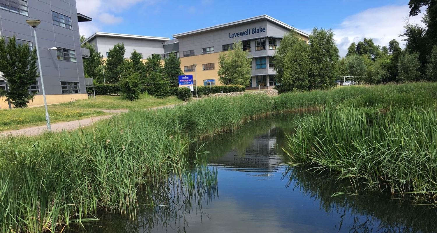 Chartered Accountants in Norwich, Norfolk | Lovewell Blake